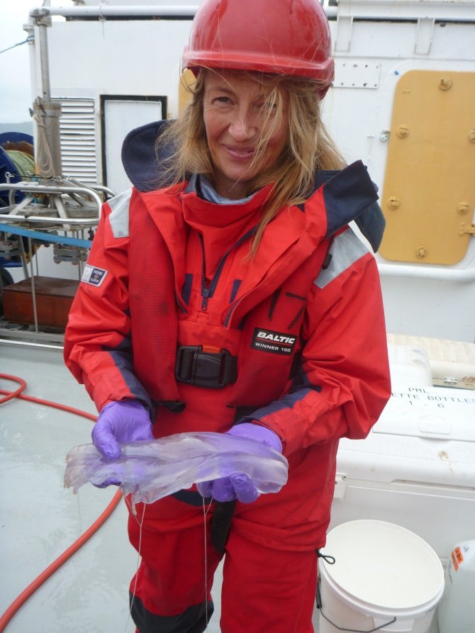 Professor Pennie Lindeque - Changing Arctic Ocean